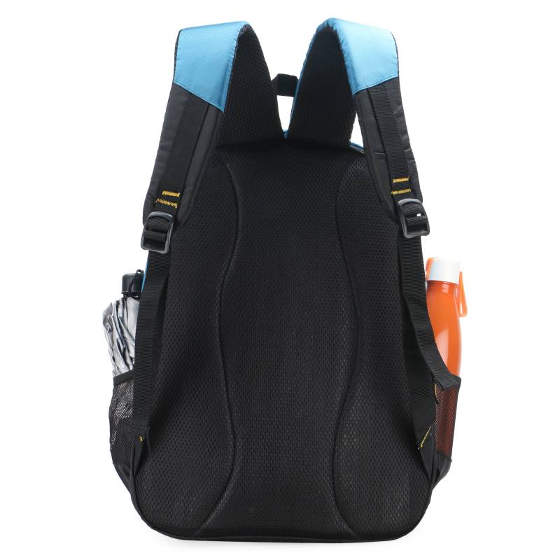 Sky Blue Polyester 30L Backpack